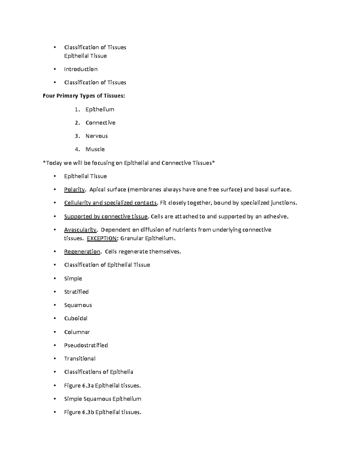 Classification of Tissues - Classification of Tissues Epithelial Tissue ...
