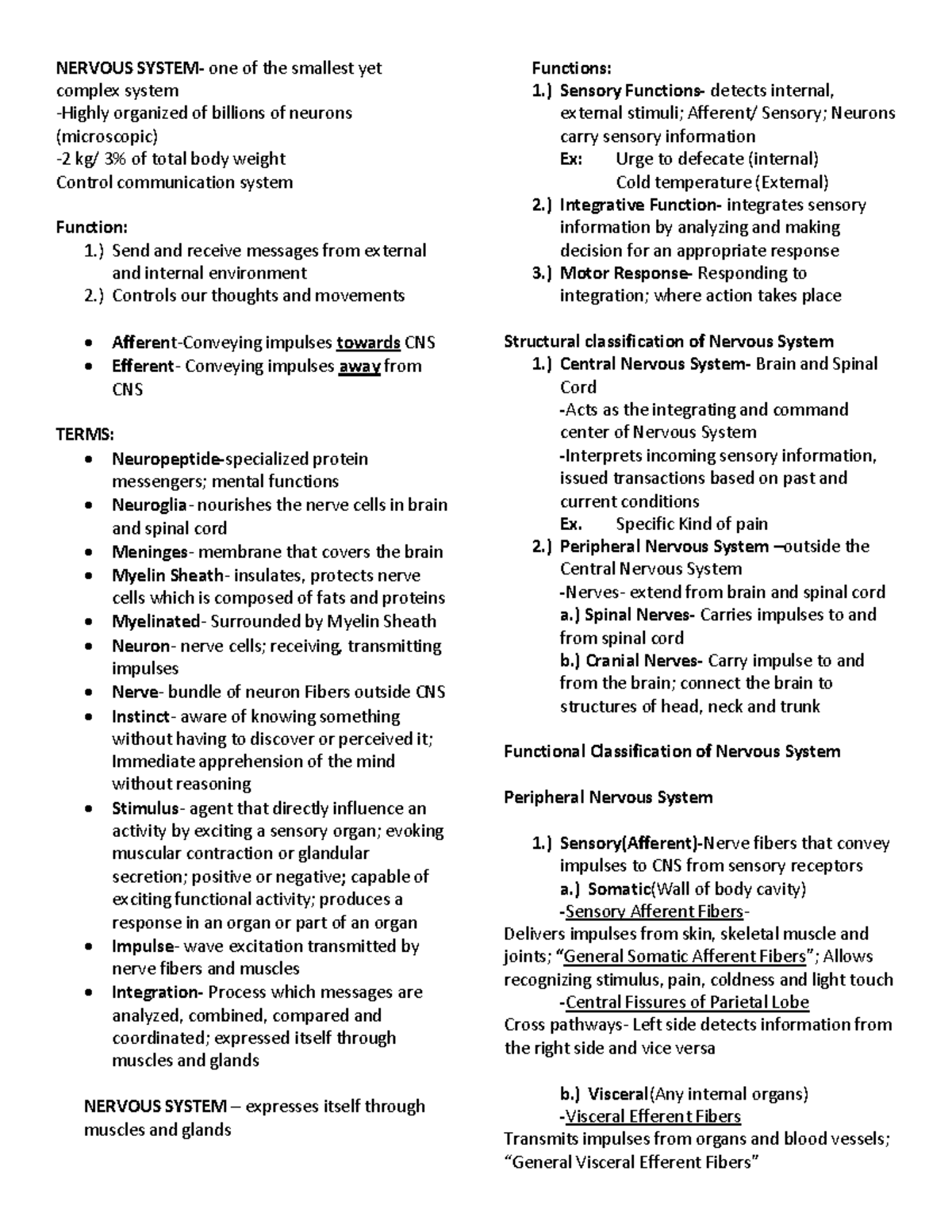 Nervous System - helps you to gain excellent knowledge - NERVOUS SYSTEM ...