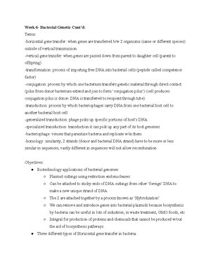 BIO 205 Lecture - In Class Worksheet 2 - BIO 205 - Studocu
