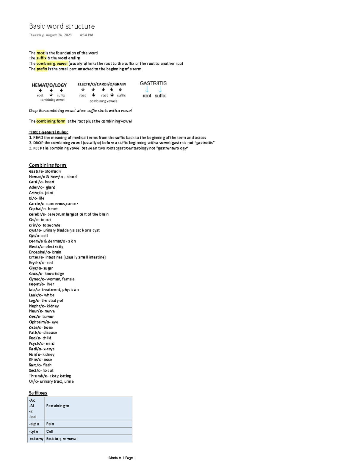 HIM2472-2237 Module 1 notes - The root is the foundation of the word ...