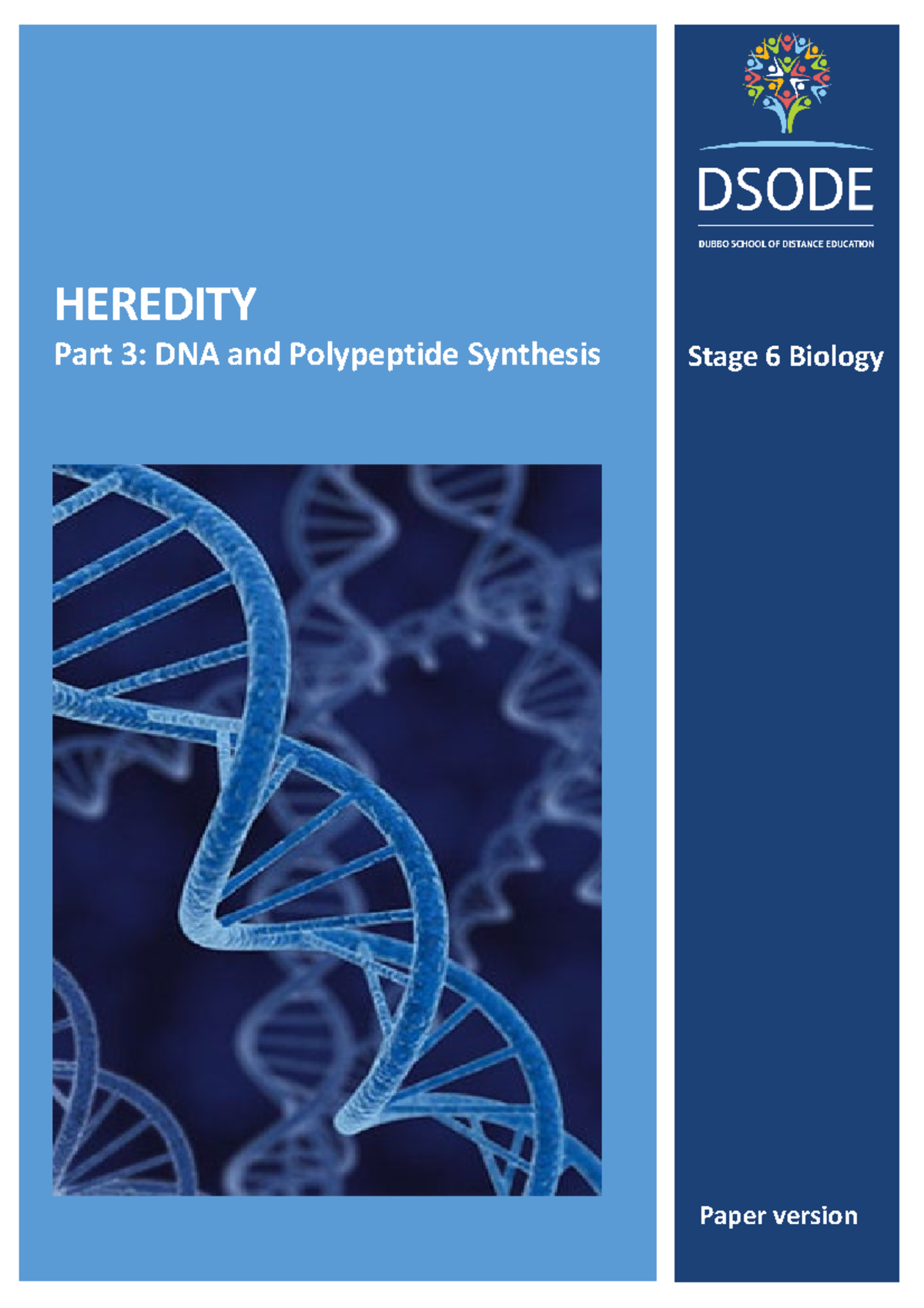 5.3 DNA & polypeptide synthesis - Paper version HEREDITY Part 3: DNA ...