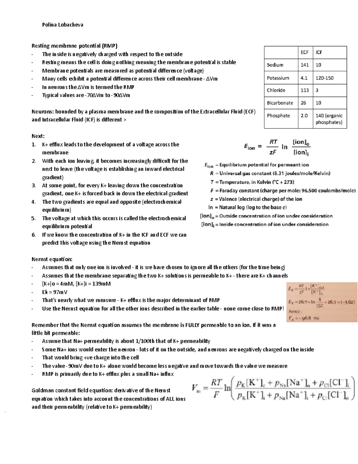 Neural activity - Physiological Systems - Resting membrane potential ...