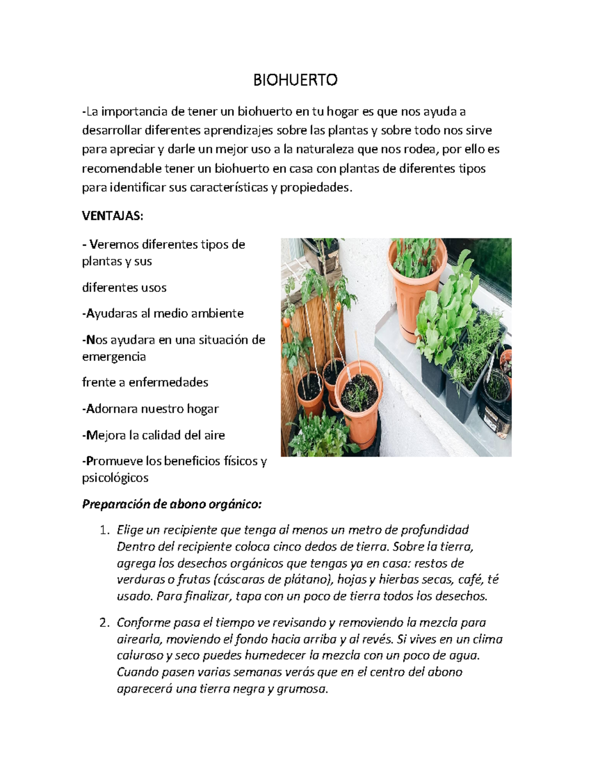 Katherine - oooooooooooo - BIOHUERTO -La importancia de tener un ...