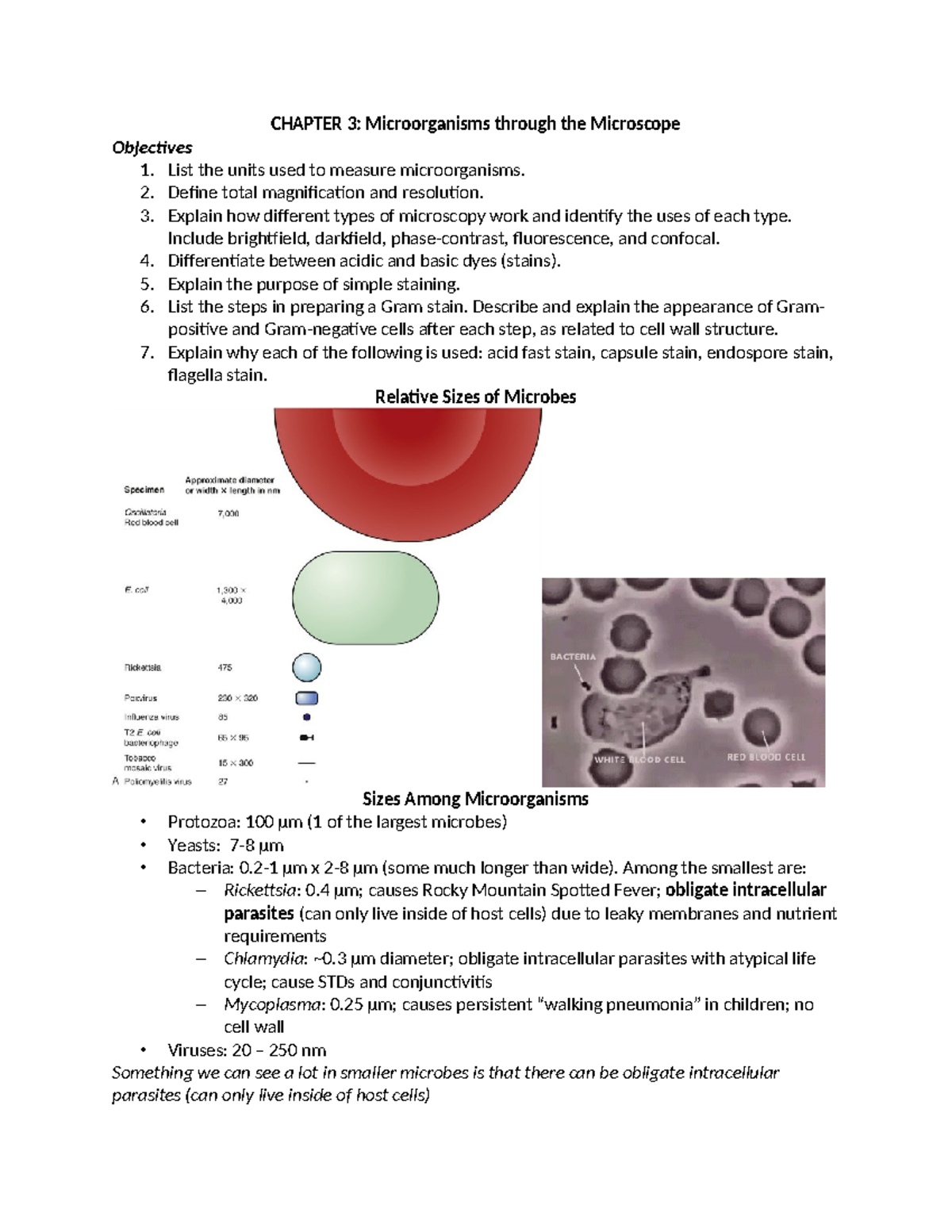 Chapter 3 - Summary Microbiology - CHAPTER 3: Microorganisms through ...