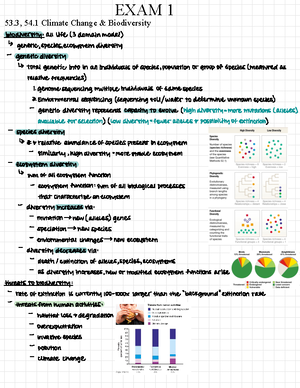 BIO 1331: Hardy Weinberg In Class Worksheet - BIO 1331: In Class ...