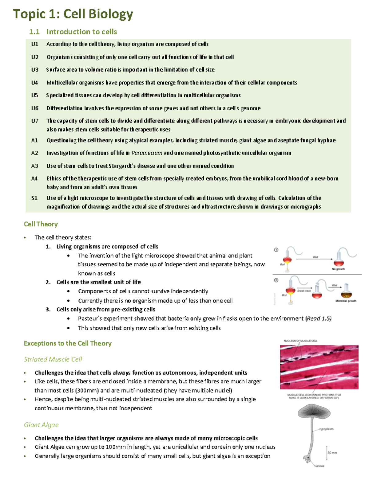 1 - stuff to look at - Topic 1: Cell Biology 1 Introduction to cells U1 ...