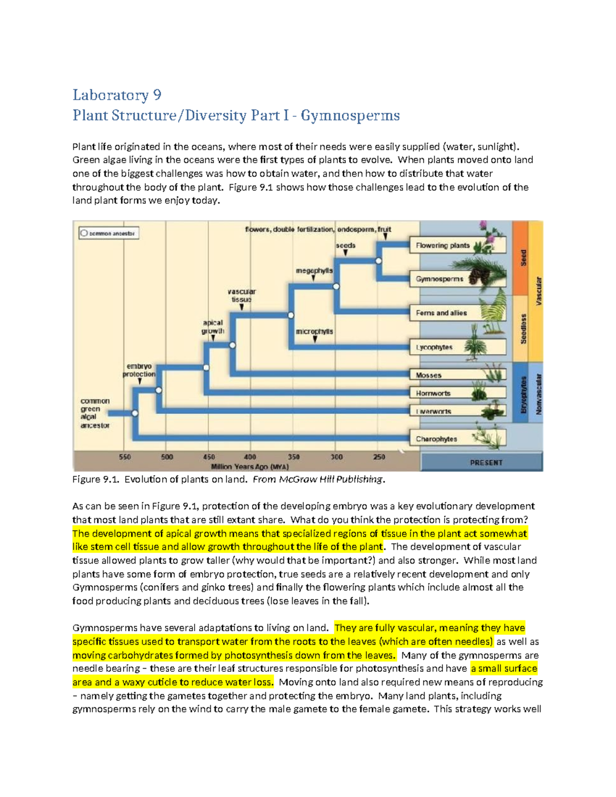 Laboratory 9 Gymnosperms - Laboratory 9 Plant Structure/Diversity Part I - Gymnosperms Plant ...