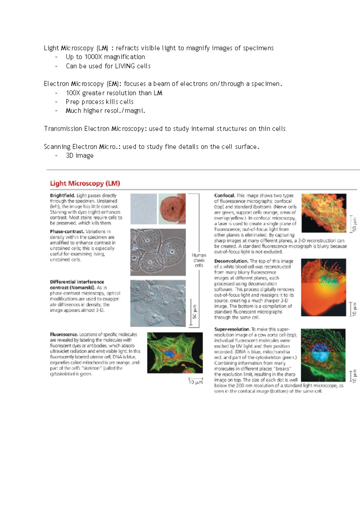 6.1 Campbell Biology - Light Microscopy (LM) : refracts visible light ...