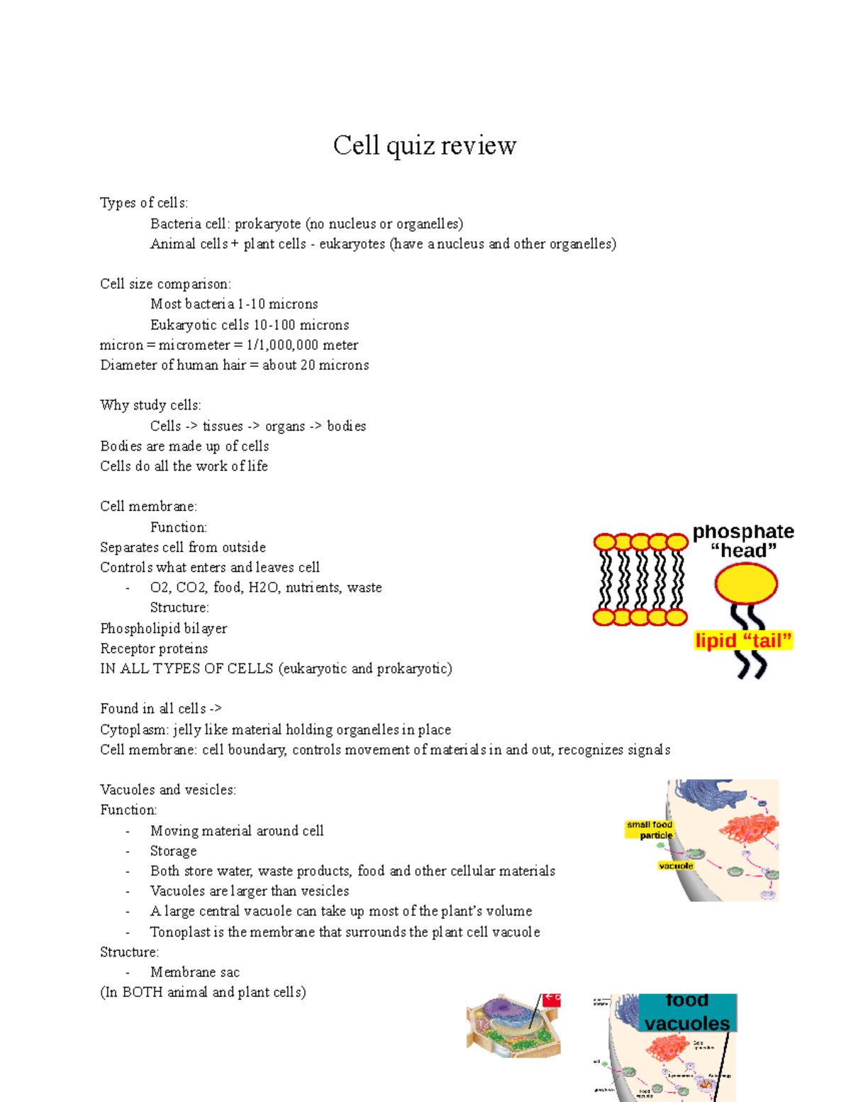 Bio notes - sdjfslkdjfldskjflskdjfsdjf - Cell quiz review Types of ...