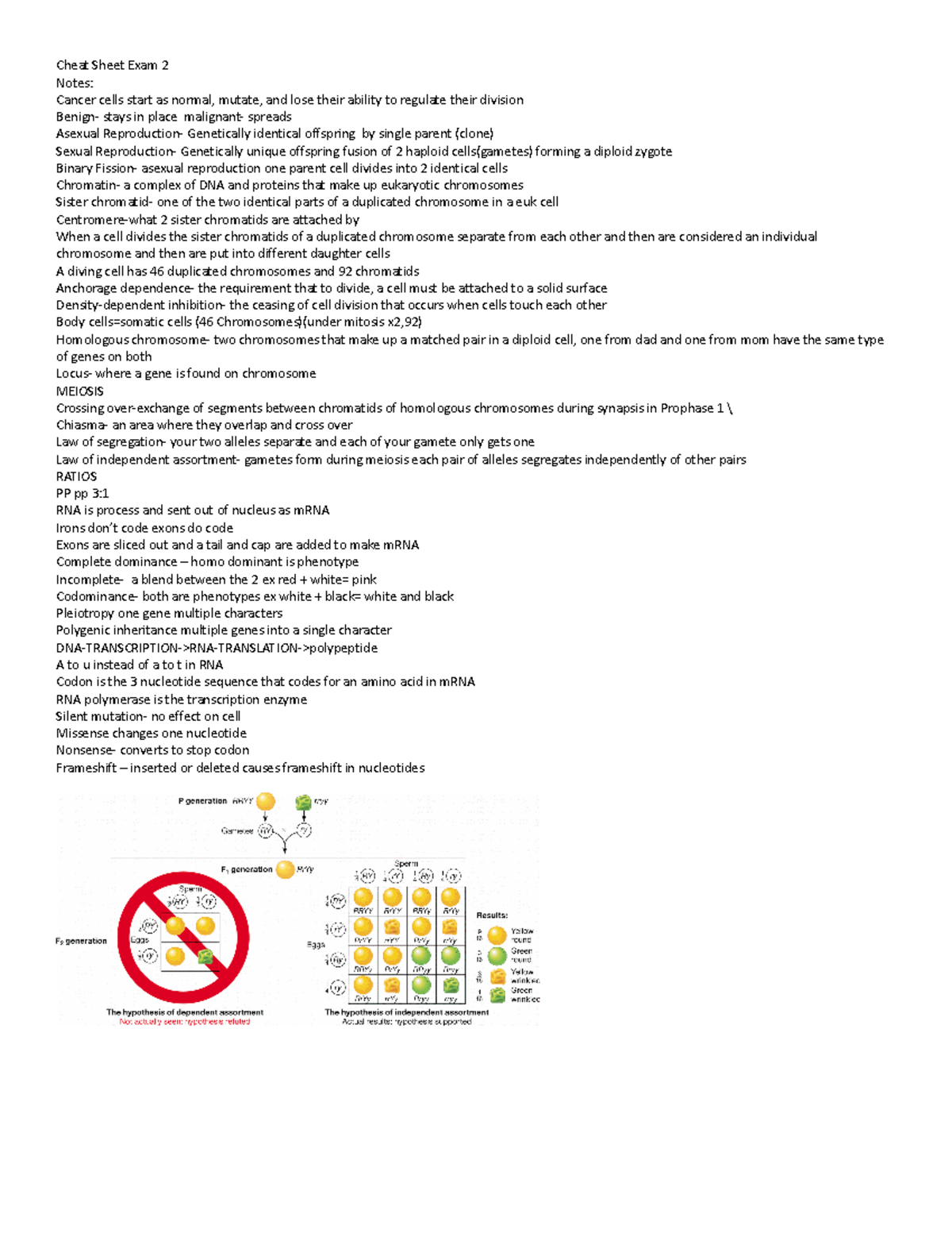 Cheat Sheet Exam 2 - Studocu