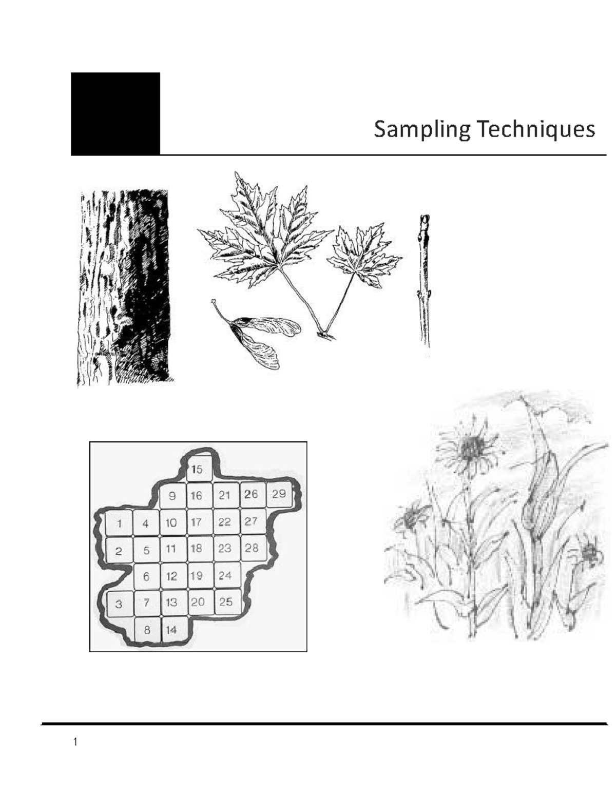 LAB 8 Sampling Techniques - Sampling Techniques Name: - Studocu
