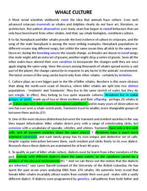 Manuscirpt trs501 - MANUSCRIPT - Substitute English - FPT - Studocu