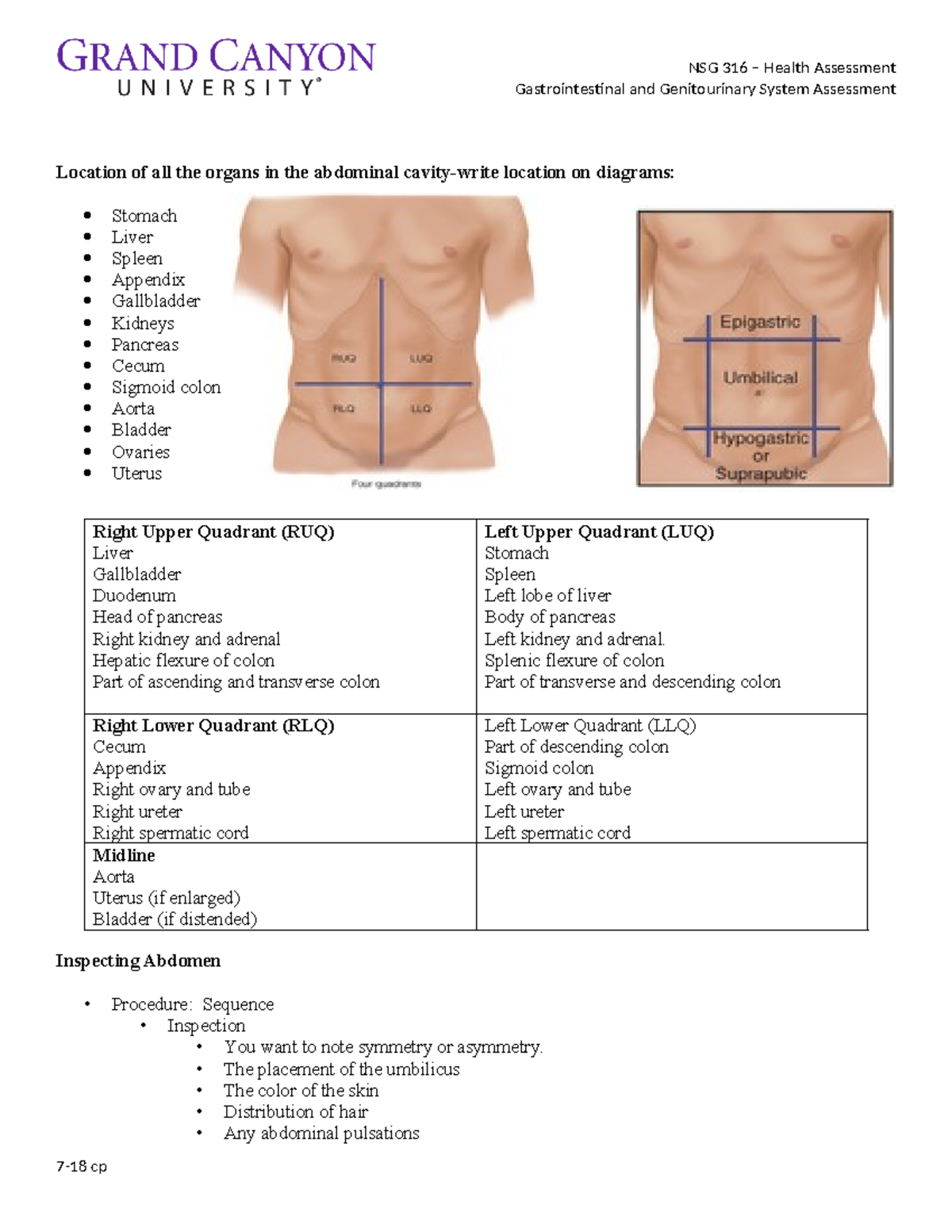 Topic 12 - Gastrointestinal and Genitourinary System Assessment ...