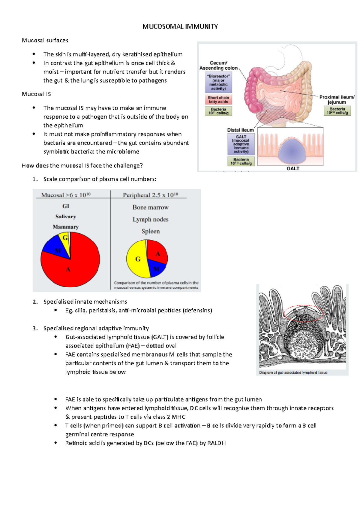 13 Mucosomal Immunity lecture notes - MUCOSOMAL IMMUNITY Mucosal ...