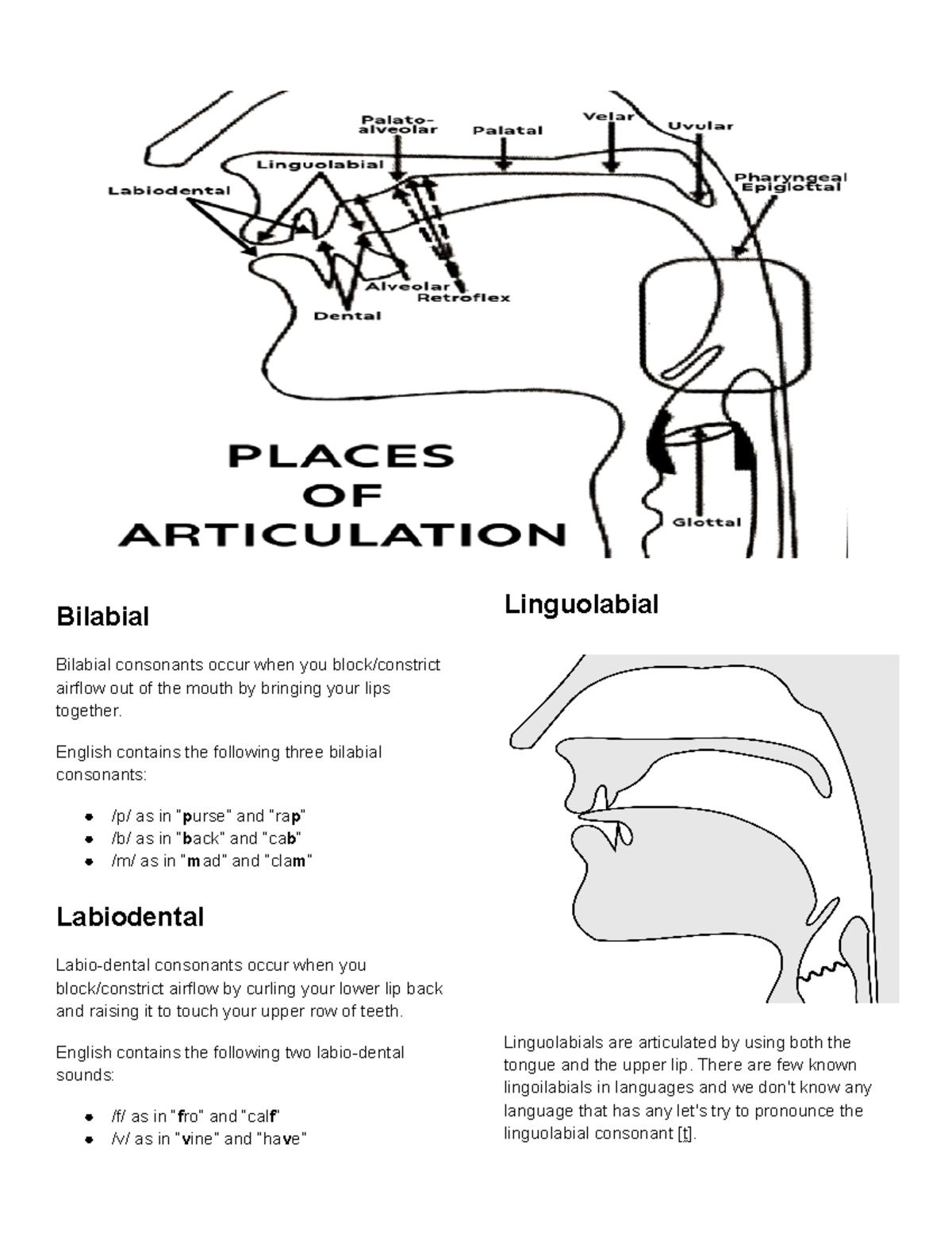 Places OF Articulation-2 - Bilabial Bilabial consonants occur when you ...