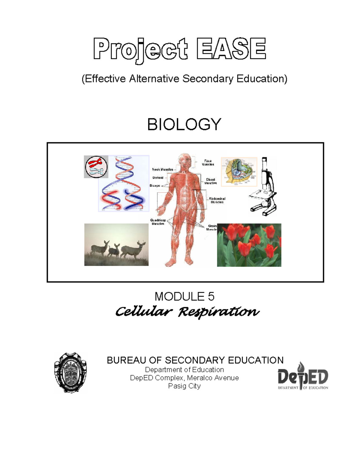 Biology M5 Cellular Respiration - (Effective Alternative Secondary ...