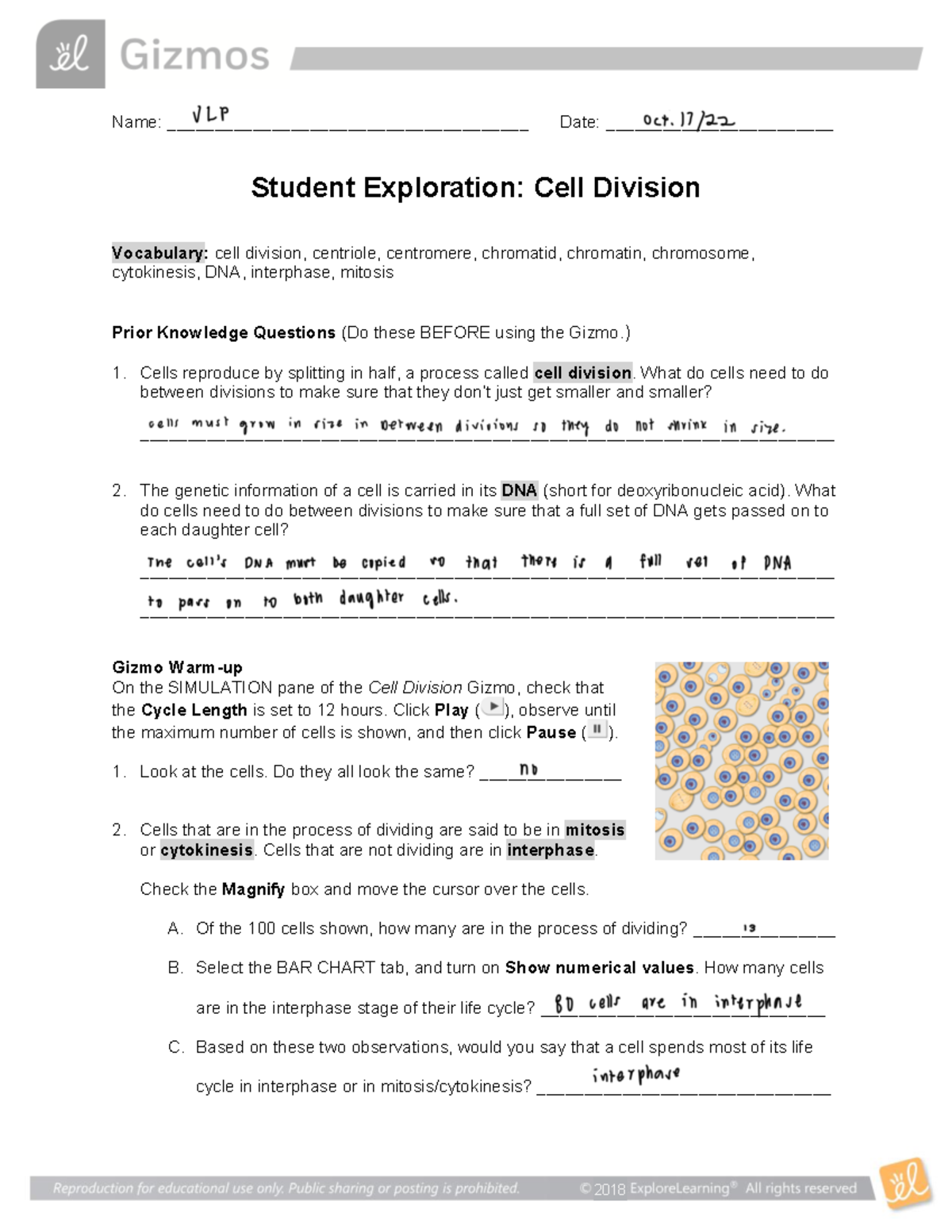 Cell division student exploration sheet - Name ...