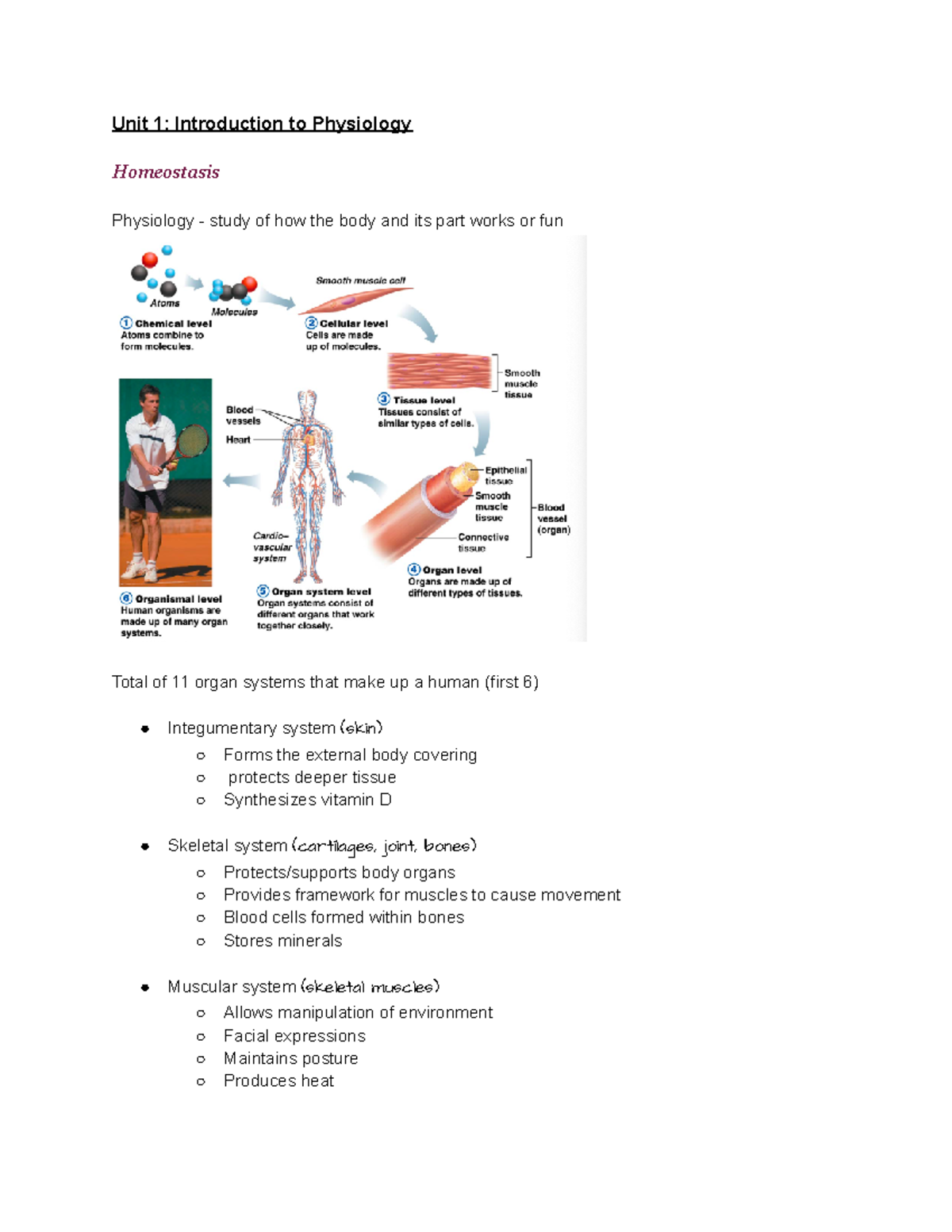 BIOM 2000 notes - Unit 1: Introduction to Physiology Homeostasis ...