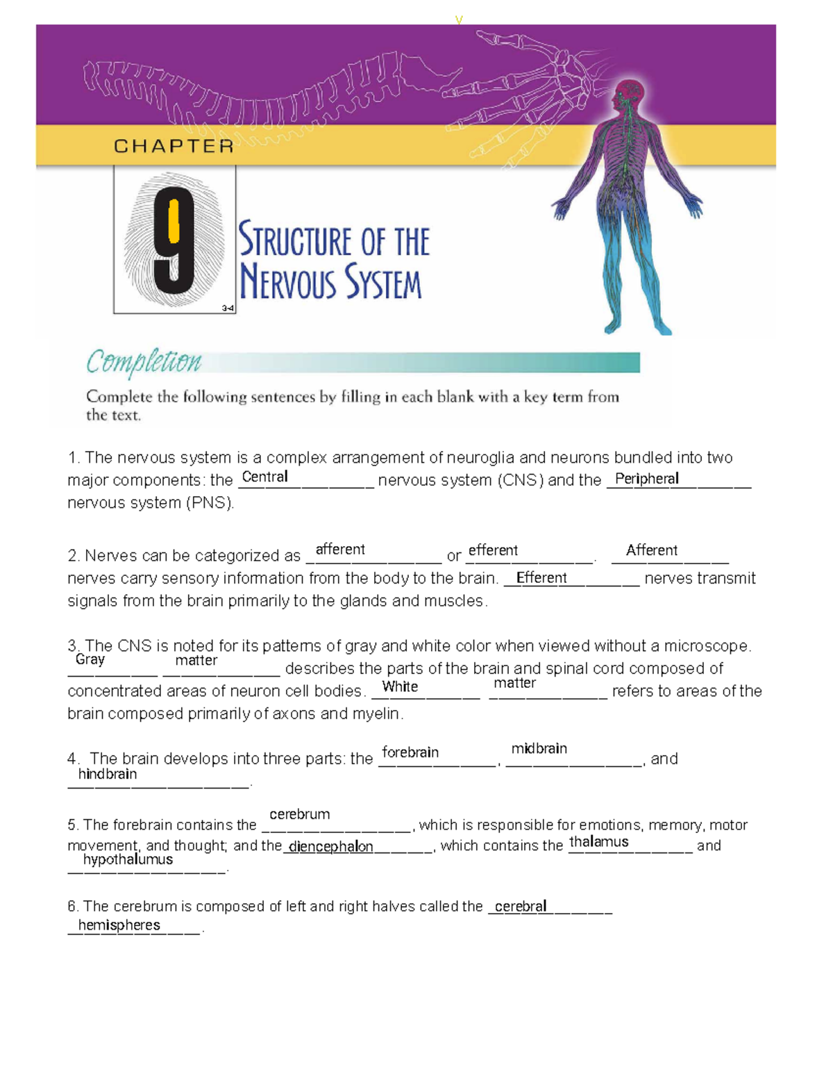 Workbook+Pages Nervous Structure 3-4 - V 1. The nervous system is a ...