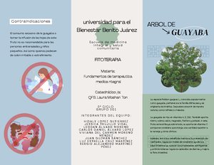 The diamond of death Hypocalcemia in trauma and resuscitation - Wray ...
