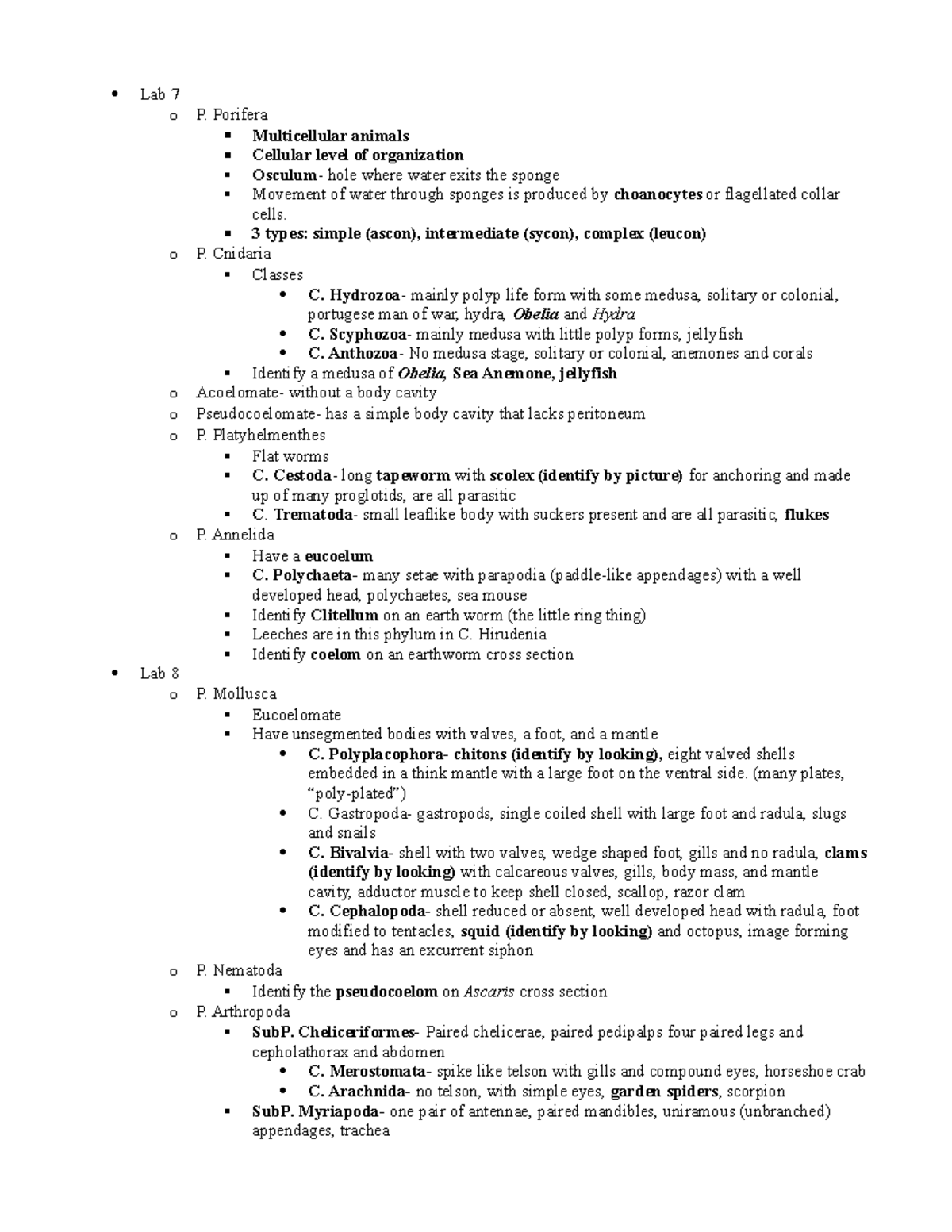 Bio Lab final outline - Lab 7 o P. Porifera Multicellular animals ...