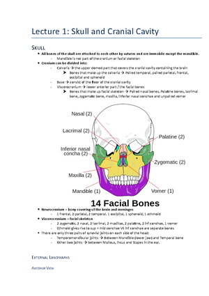 Lecture 1- Blood and Bone Marrow - Lecture 1: The blood and bone marrow ...