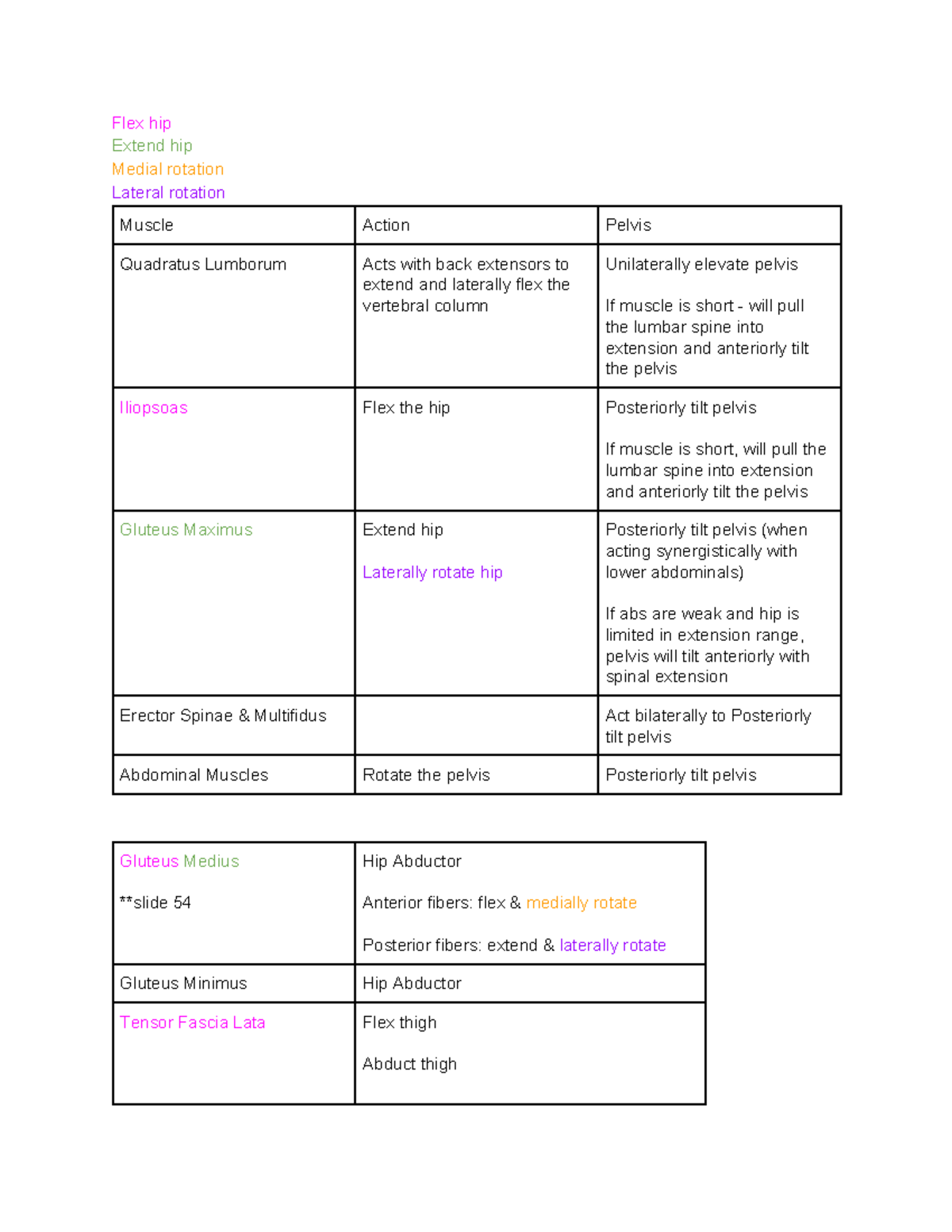 Muscles pelvis, hip, thigh, & knee - Flex hip Extend hip Medial ...