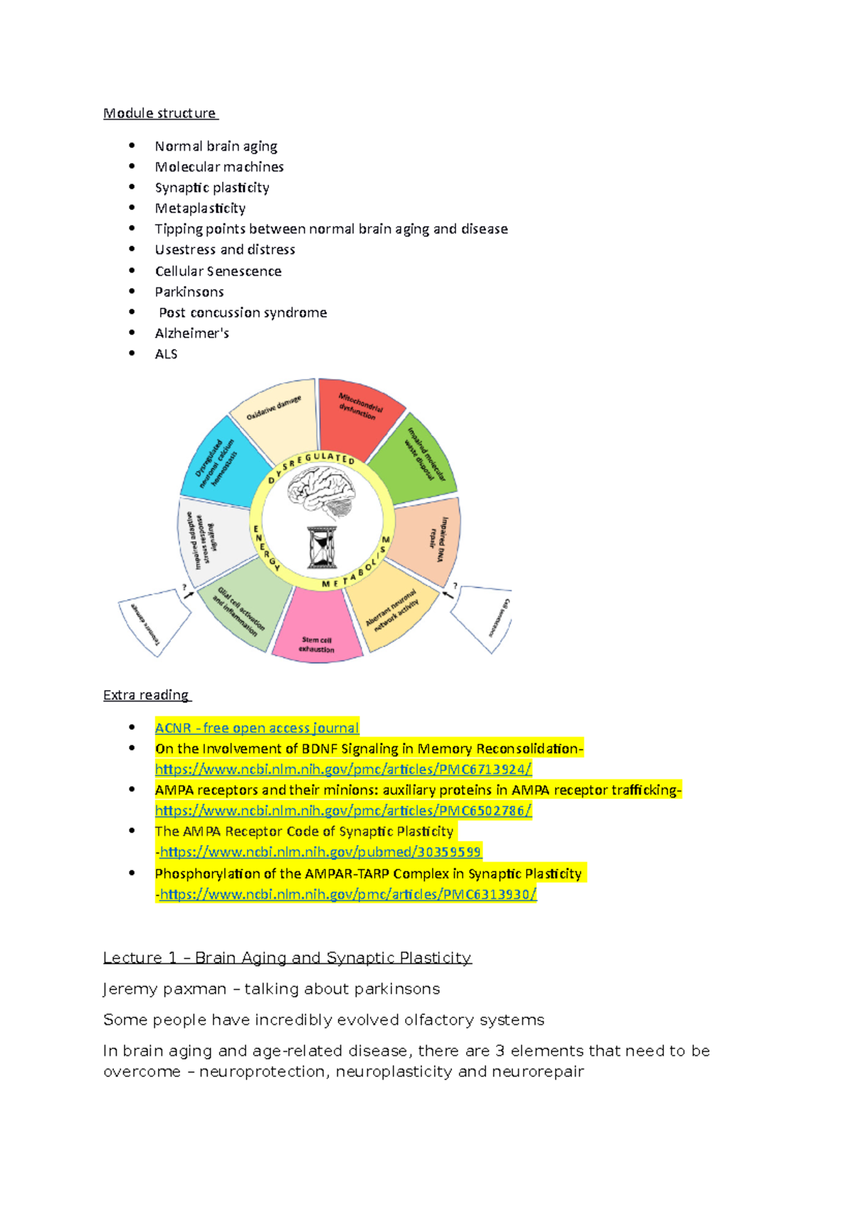 Lecture 1 The Aging Brain Module Structure Normal Brain Aging