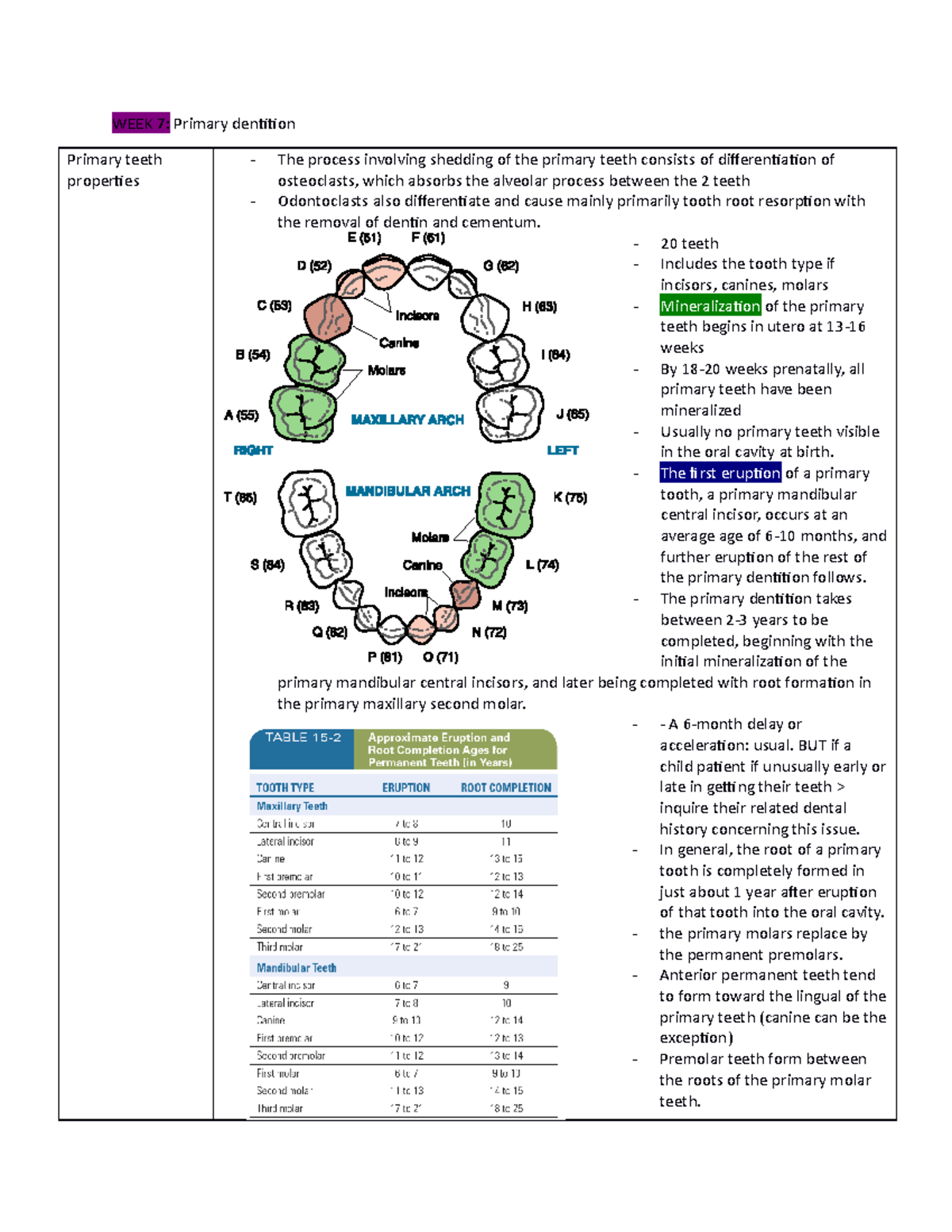 Week 7 - Primary dentition - WEEK 7: Primary dentition Primary teeth ...