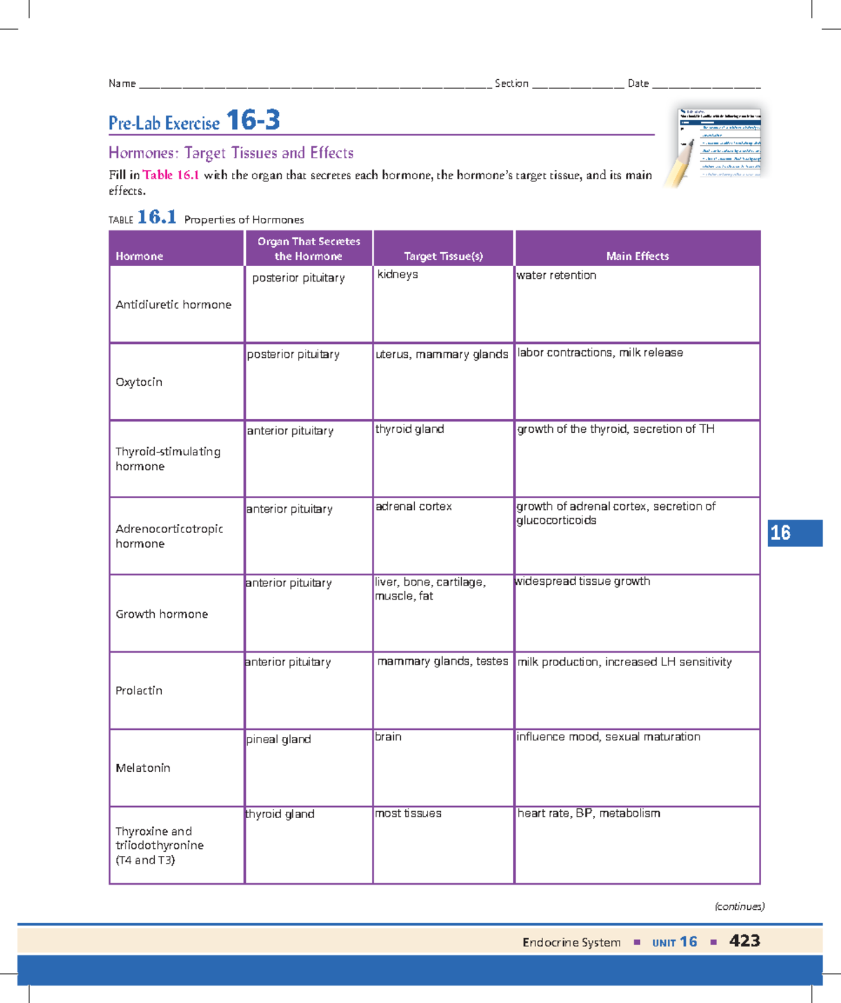Unit 16 Pre-Lab Exercise 16-3 kj - Endocrine System n UNIT 16 n 423 16 Hormones: Target Tissues ...