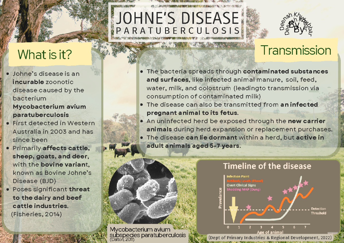 Factsheet number 1 (Johne's Disease) - What is it? Transmission JOHNE’S ...