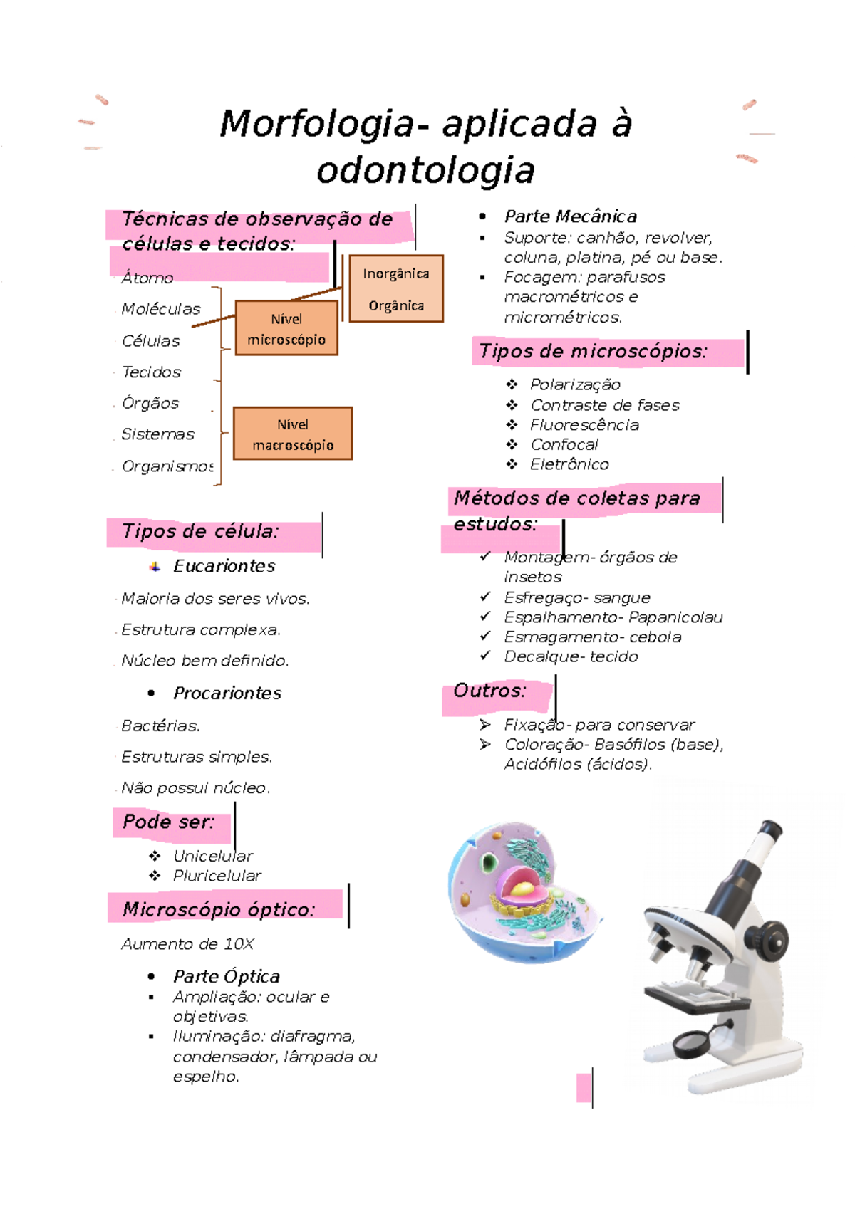 Morfologia Aplicada À Odontologia 1S - Morfologia- aplicada à ...