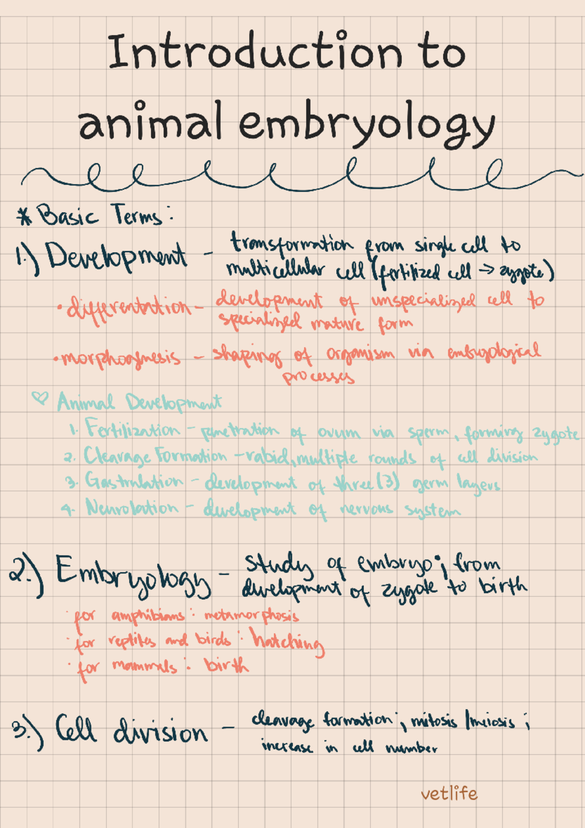 Introduction to animal embryology vet notes - Introduction to animal ...