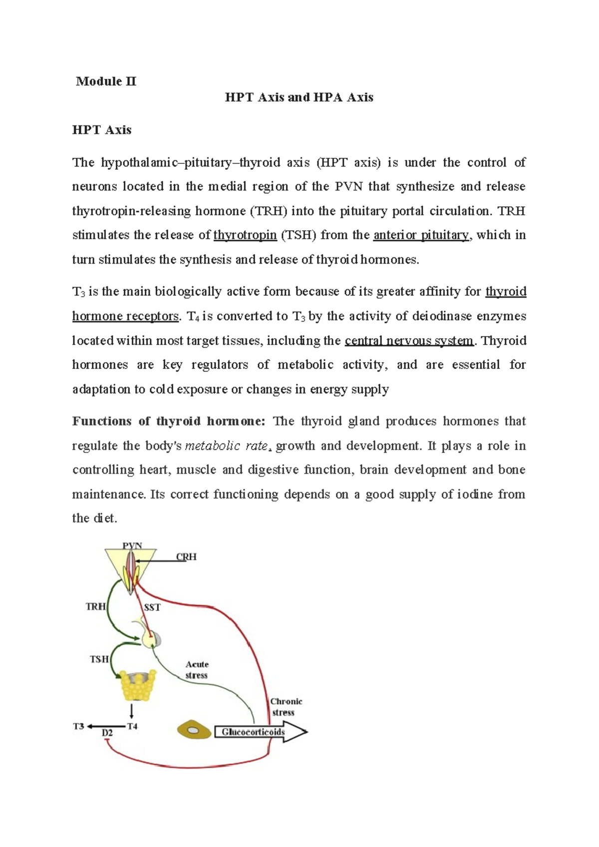 Module III notes for fourth sem - Module II HPT Axis and HPA Axis HPT ...