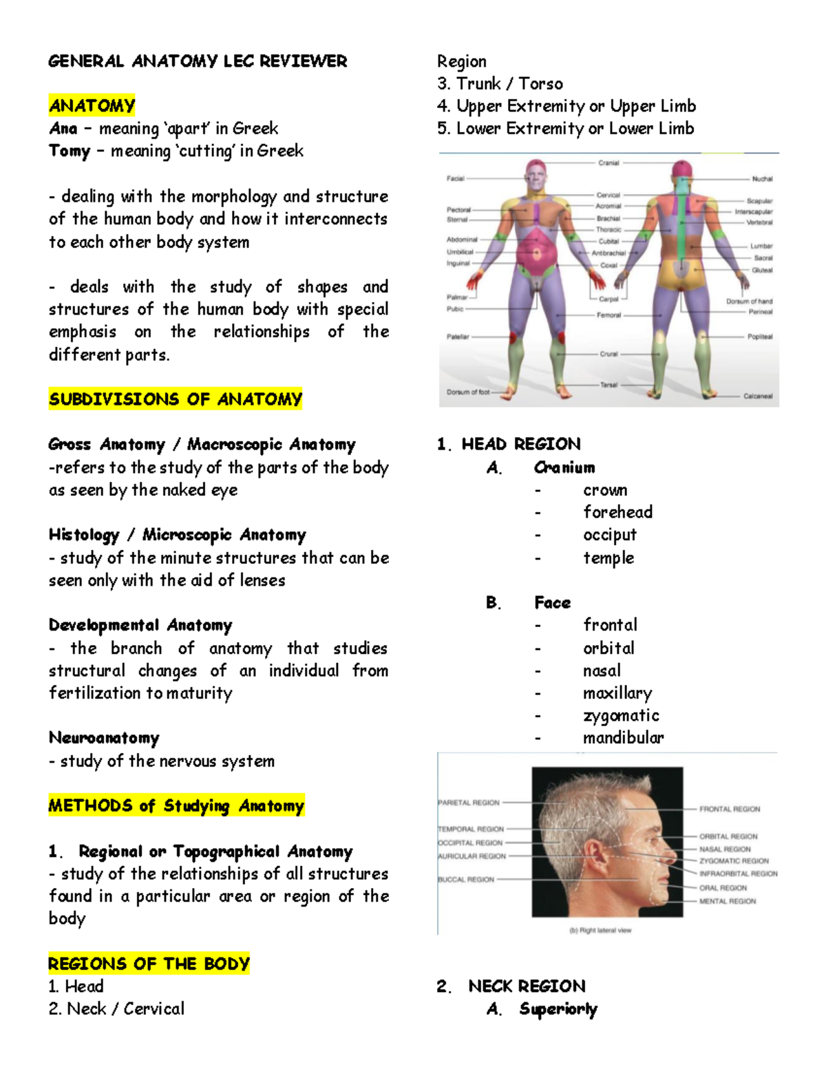 General Anatomy LEC Reviewer - GENERAL ANATOMY LEC REVIEWER ANATOMY Ana ...