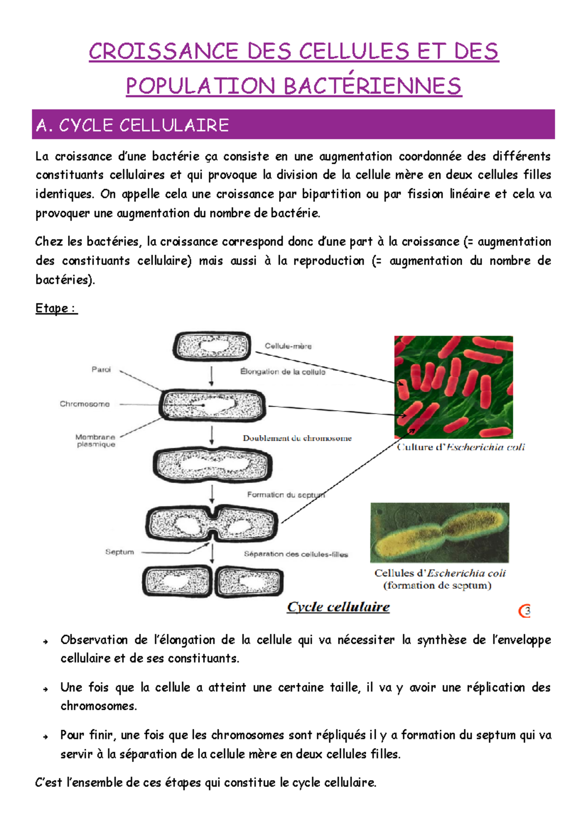 3 -Croissance-des-cellules-et-des-population-bactériennes - CROISSANCE ...