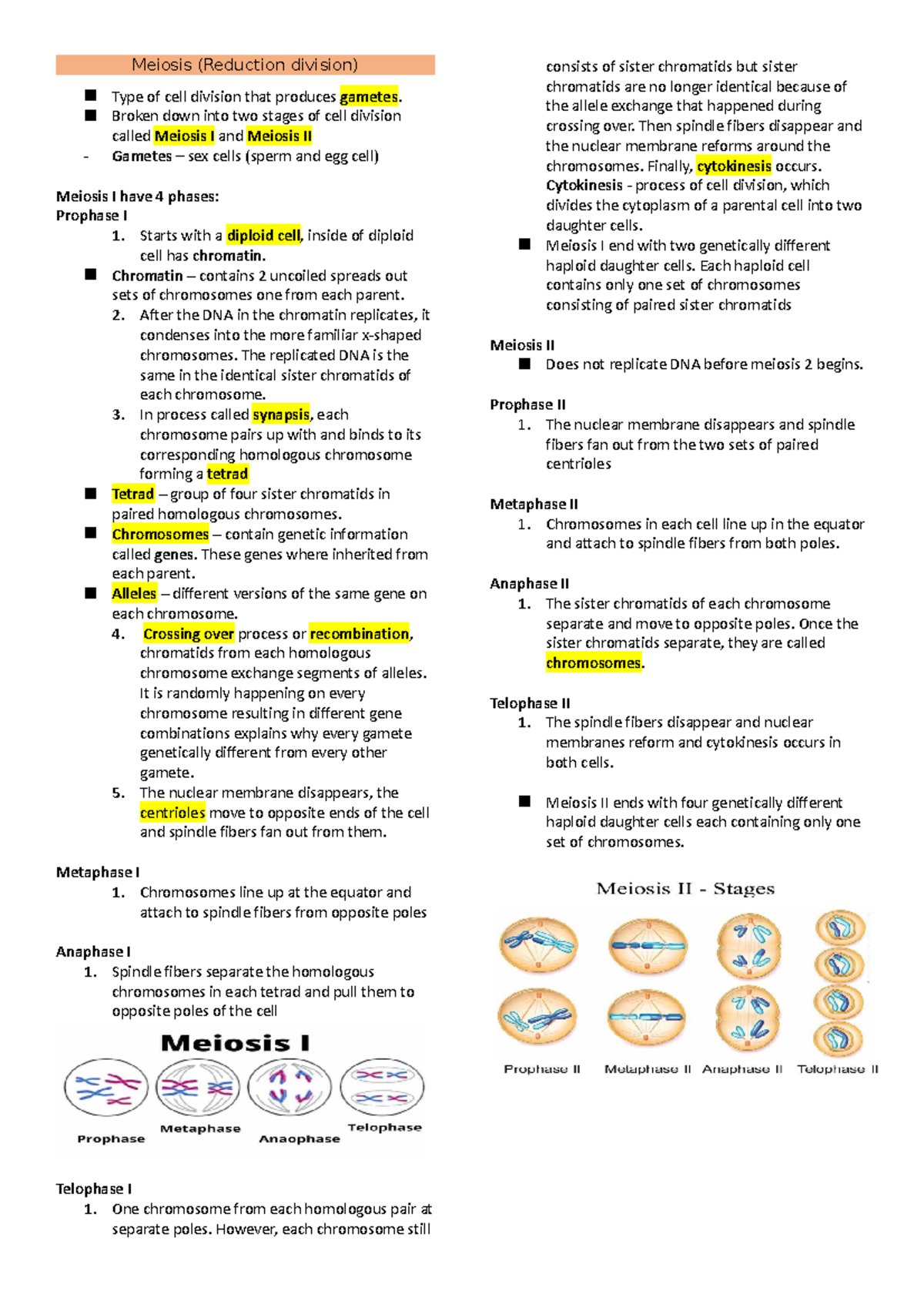 Meiosis - SSSSSSSSSSSSSSSS - Meiosis (Reduction division) Type of cell ...