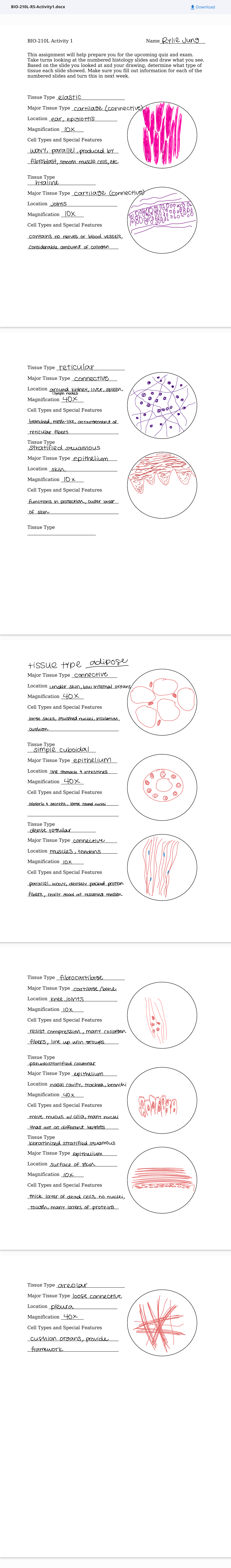 Activity 1 - Michael Barton's lab - !"#$%&'($)*$+,-./.-0&123,4 !"#$%"&' - Studocu
