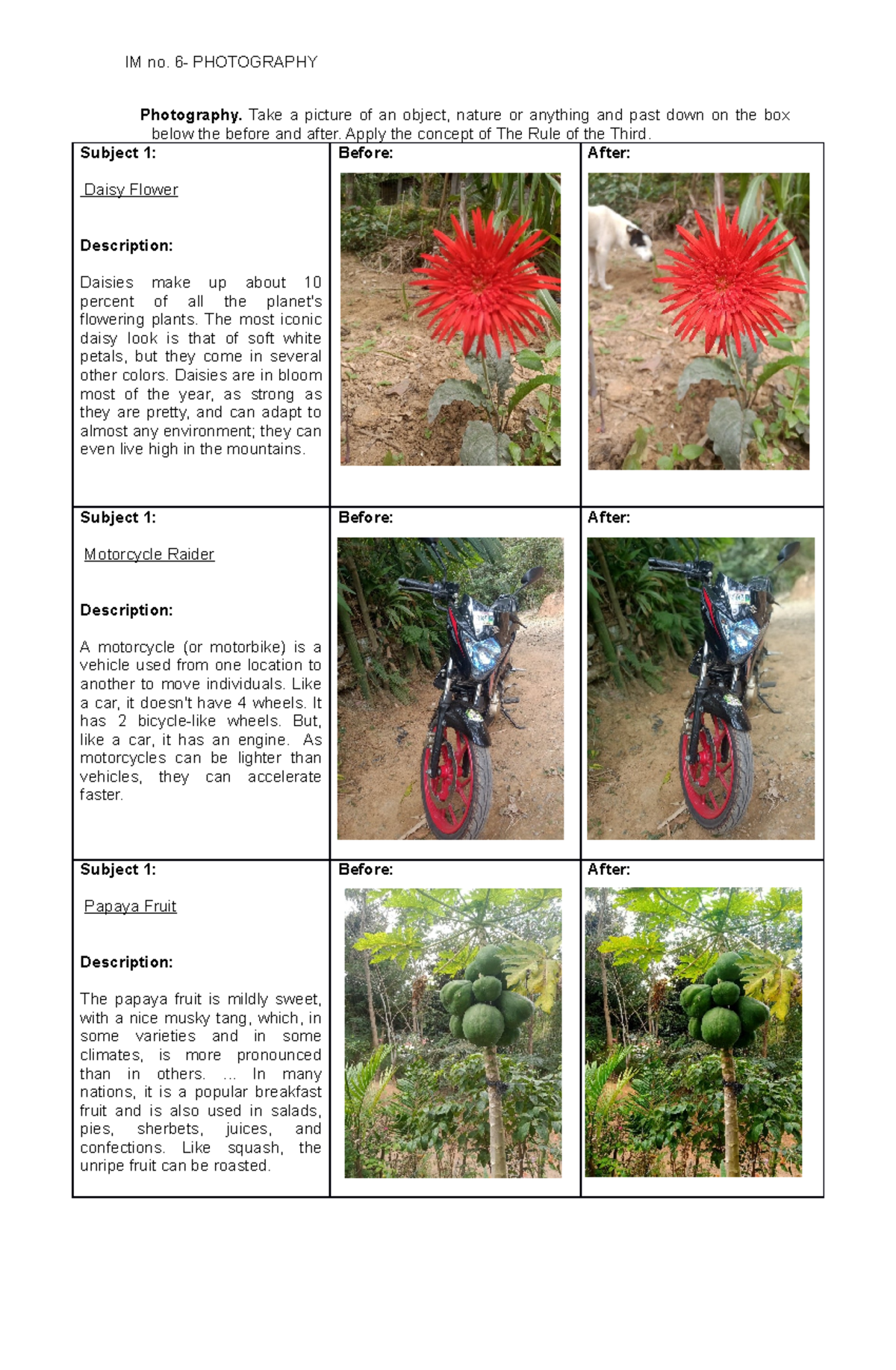 The concept of The Rule of the Third - IM no. 6- PHOTOGRAPHY ...