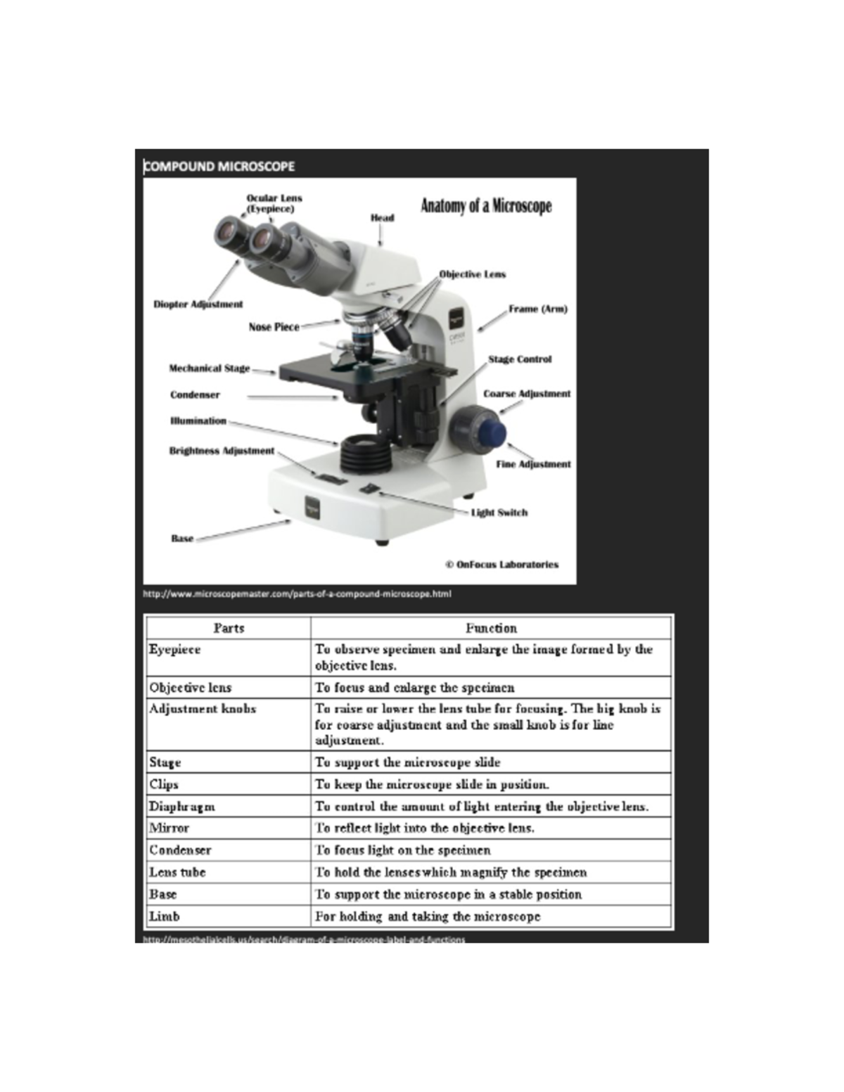 Microscope guide - BIOL 1500 - Studocu