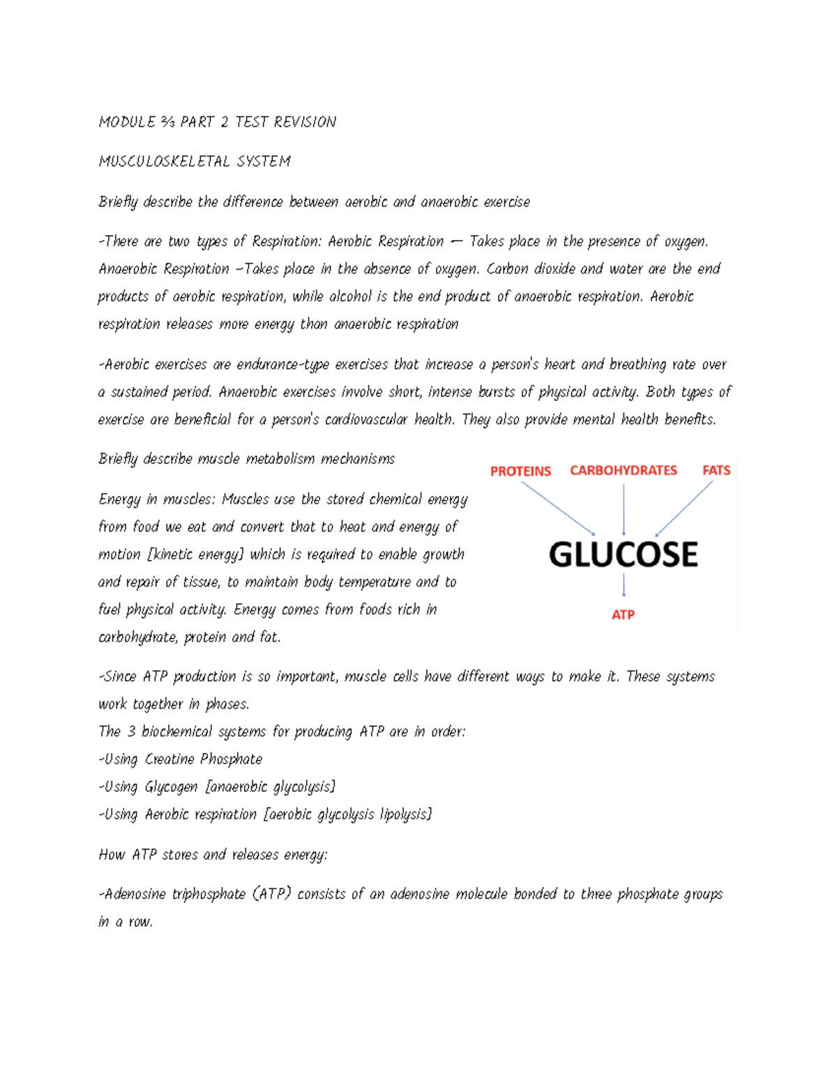 Musculoskeletal Revision PART 2 - MODULE ⅔ PART 2 TEST REVISION ...