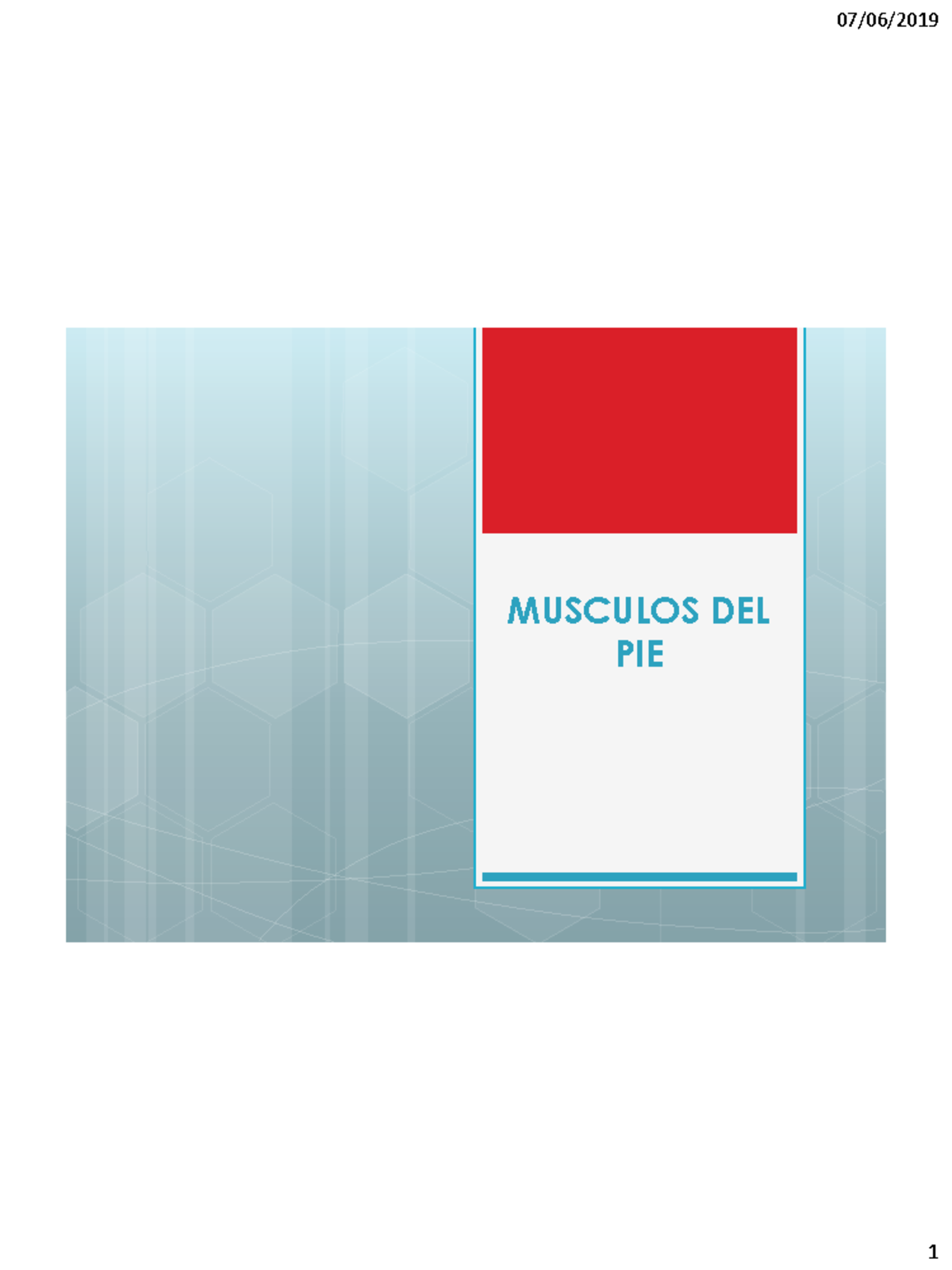 Musculos DEL PIE definitivo - MUSCULOS DEL PIE LA EXTENSION DE LOS ...