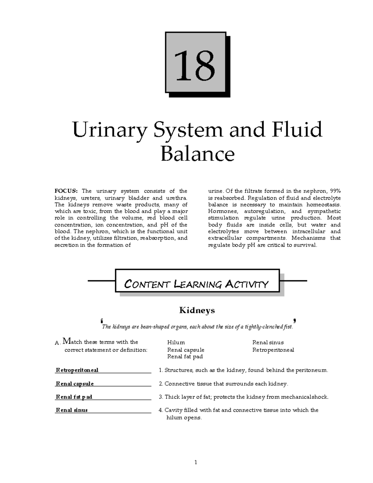WS-11-The-Urinary-System - 18 Urinary System and Fluid Balance FOCUS ...