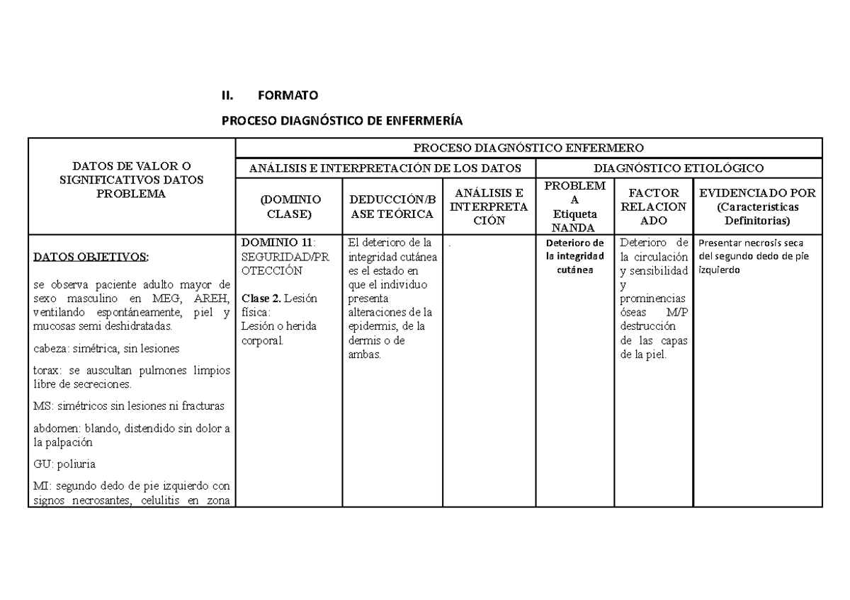 Formato Nanda - LECTURA - II. FORMATO PROCESO DIAGNÓSTICO DE ENFERMERÍA ...