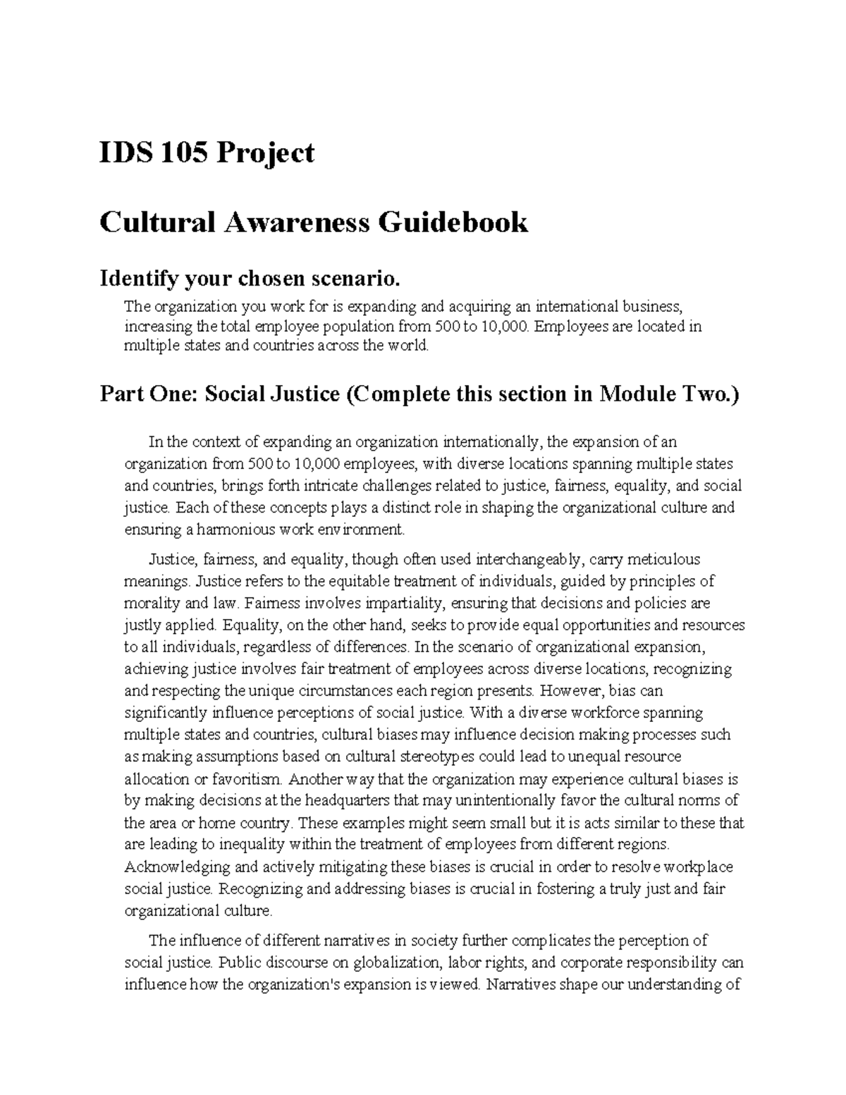 IDS 105 Project Final - IDS 105 Project Cultural Awareness Guidebook Identify your chosen ...