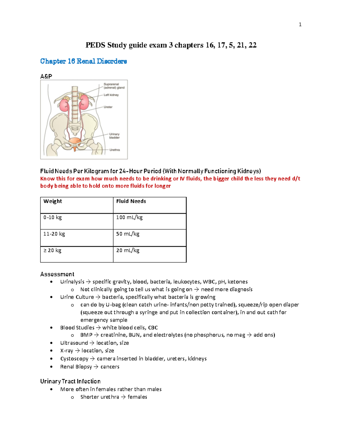 Peds Exam 3 - Renal, endocrine, end-of-life, dermatological ...