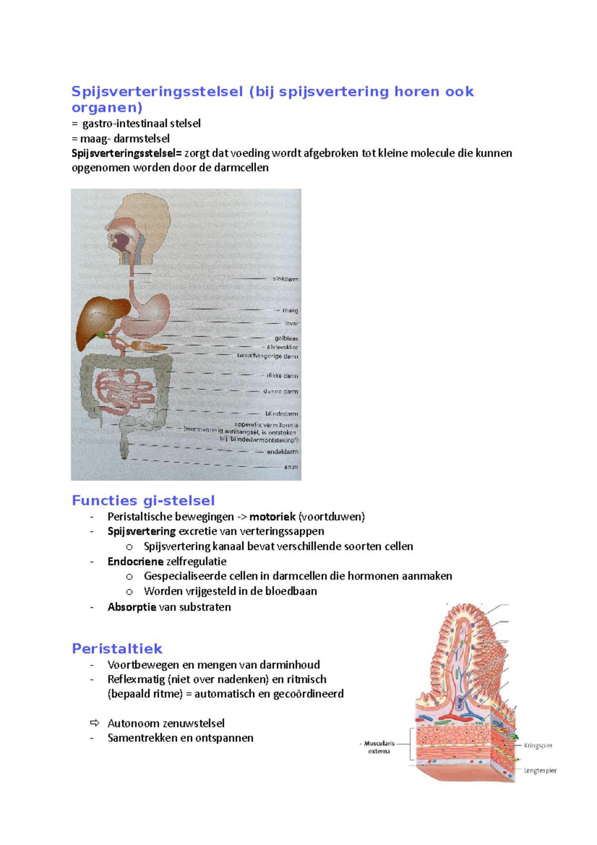 Spijsverteringsstelsel - Studocu