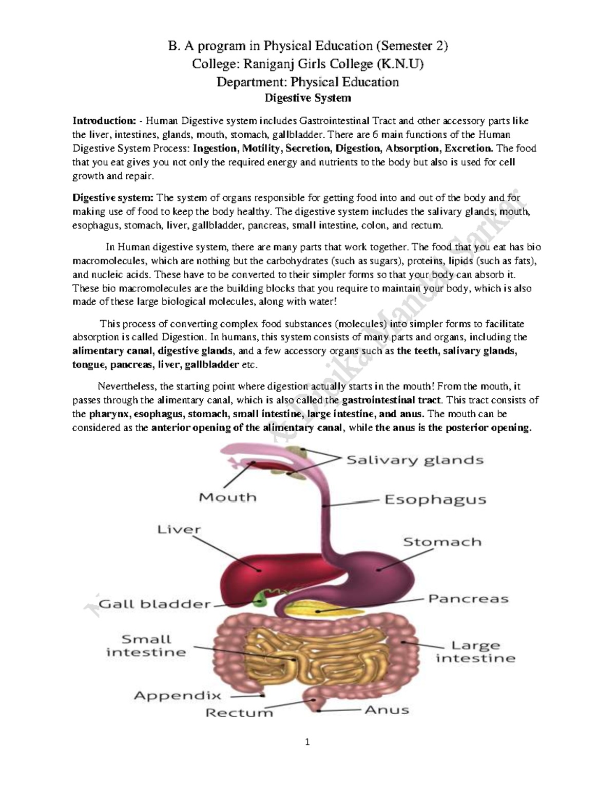 Digestive System - yes - College: Raniganj Girls College (K.N ...