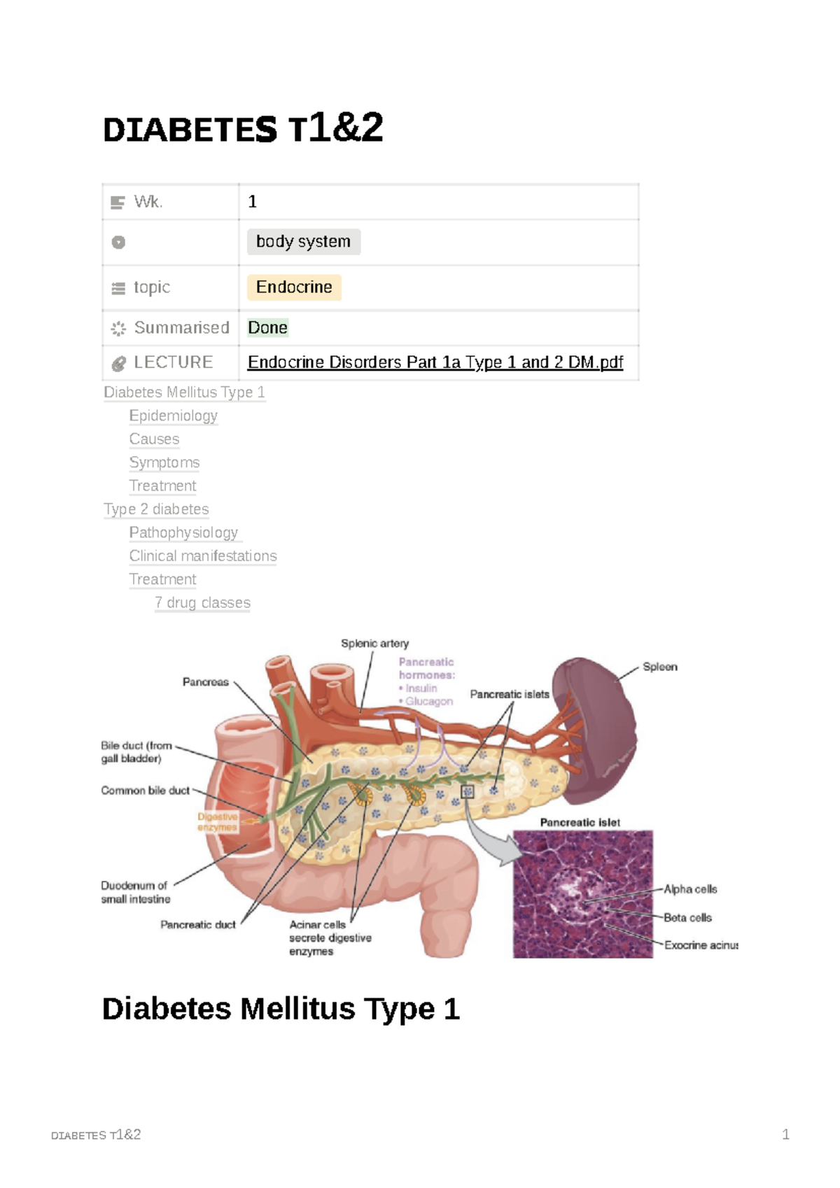 Diabetes t1 t2 notes - Outline of lecture slides reformatted - ᴅɪᴀʙᴇᴛᴇ ...
