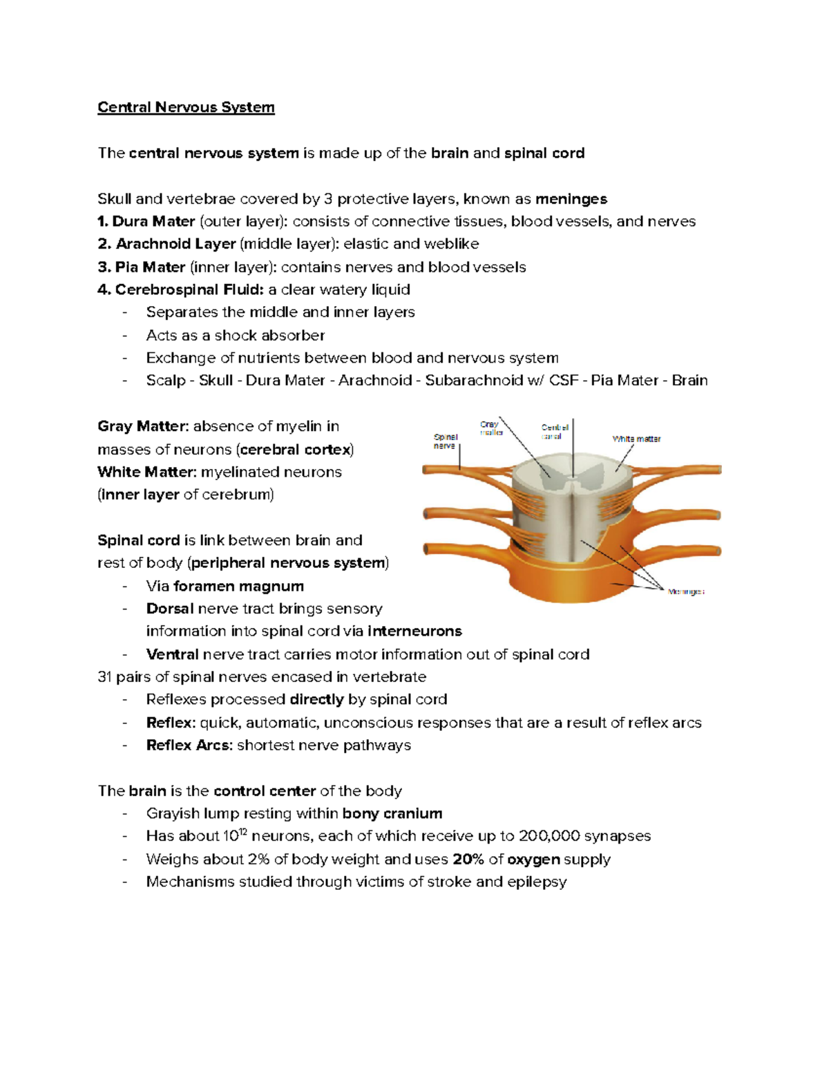 Central Nervous System - Learning and Senses 2. Personality 3. Speech ...